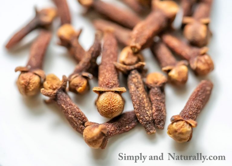 Parasite Cleanse by Dr. Hulda Clark - Simply and Naturally