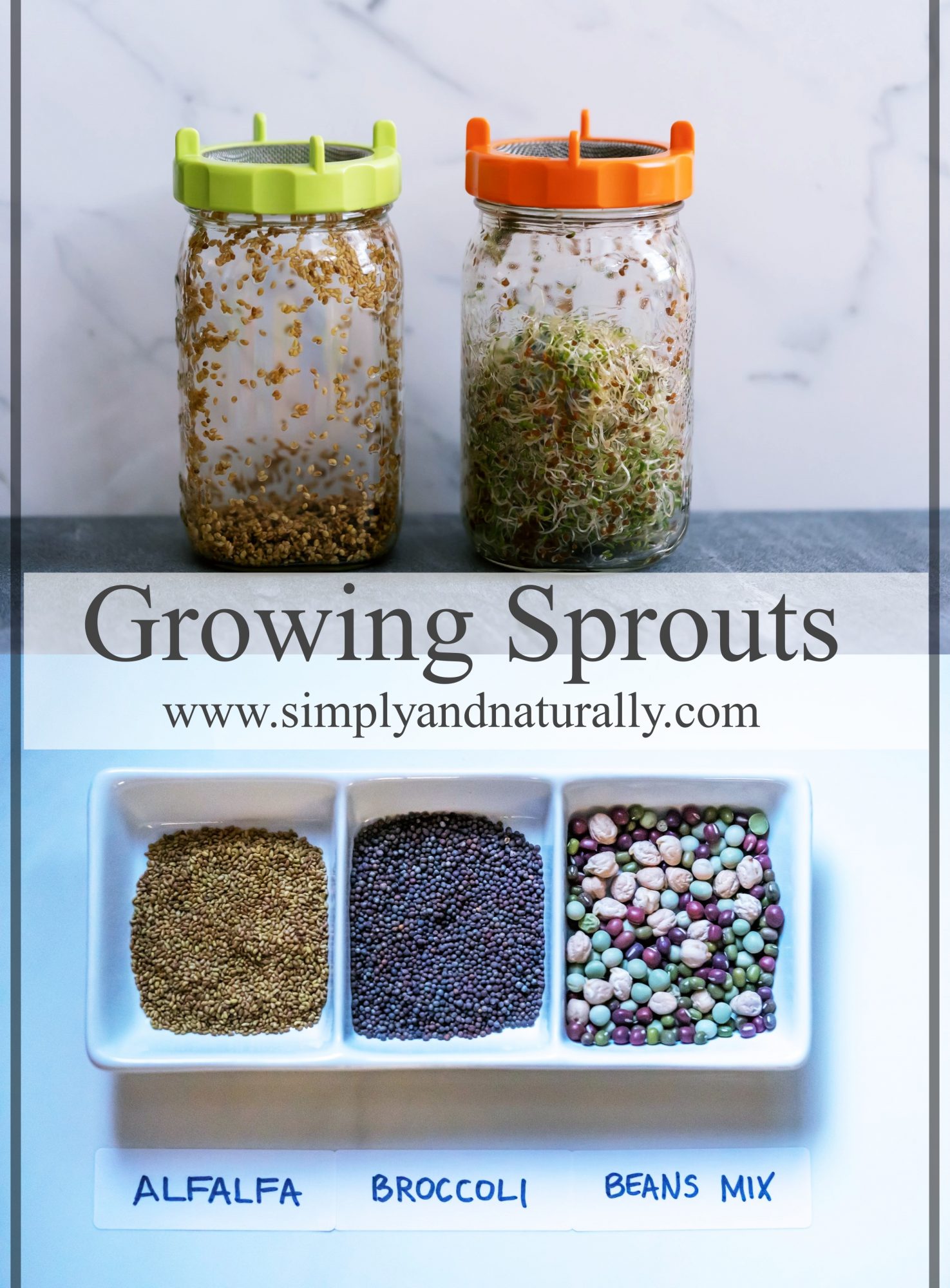 Growing Your Sprouts At Home - Simply and Naturally