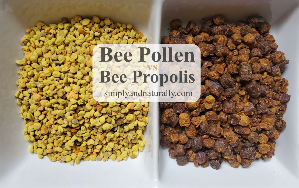 Bee Pollen Versus Bee Propolis - Simply and Naturally