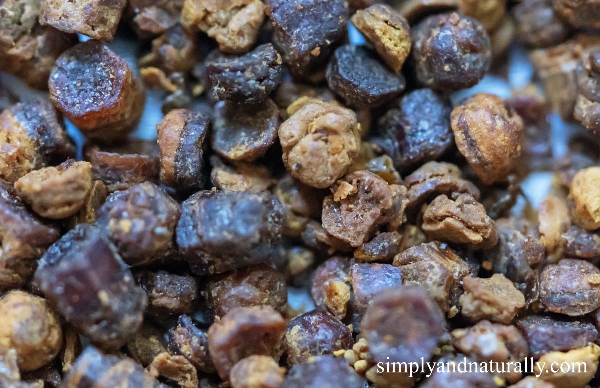 Bee Bread Health Benefits - Simply and Naturally