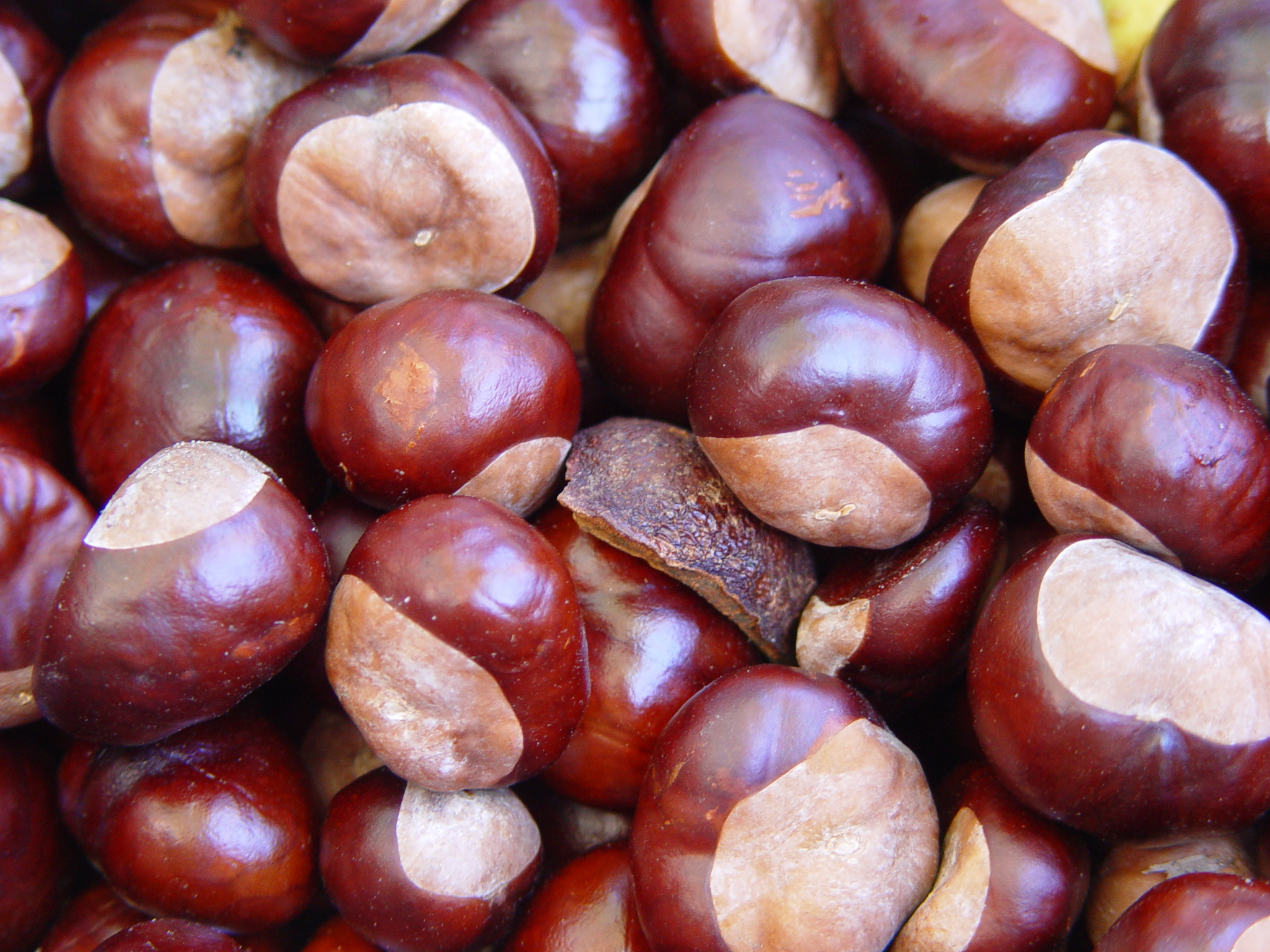 Chestnuts Health Benefits And Uses - Simply and Naturally